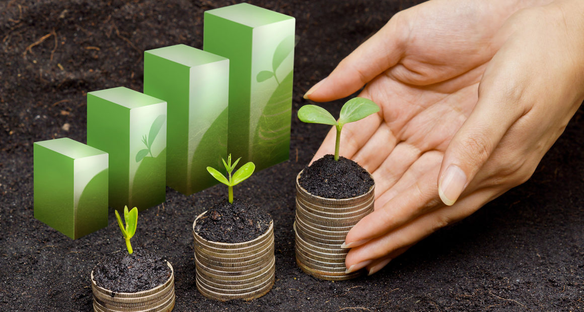 DCS Sustainable Growth Fund – investing in tomorrow - Dominion News